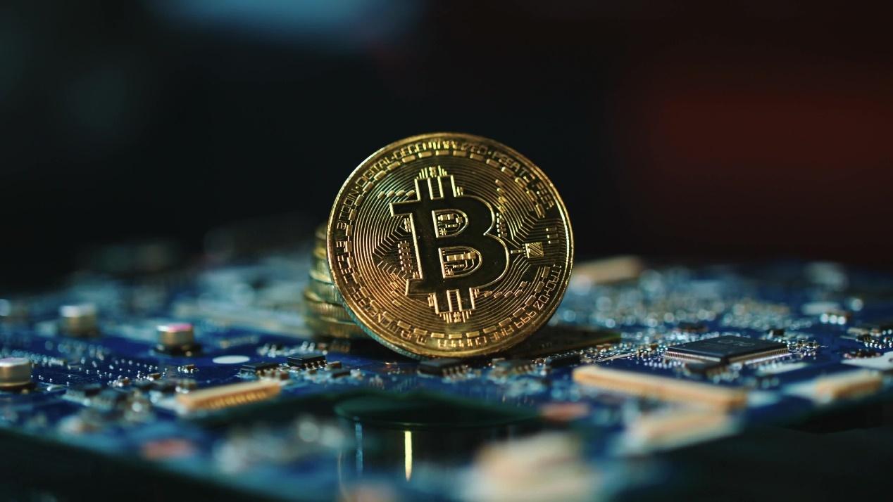 Vault Wallet | 数字藏品